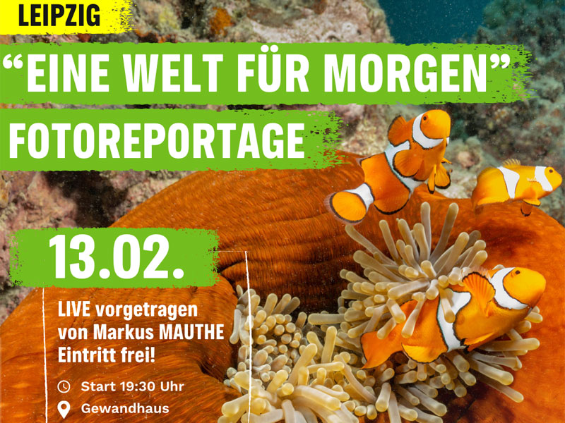 Live-Reportage "Grad°jetzt – Eine Welt für morgen" mit Markus Mauthe ...