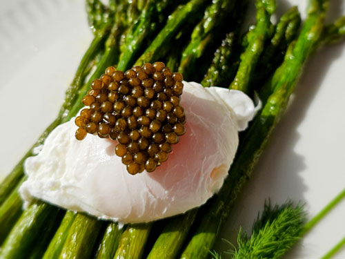 Beluga Kaviar: Warum wird es als "schwarzes Gold" bezeichnet ...